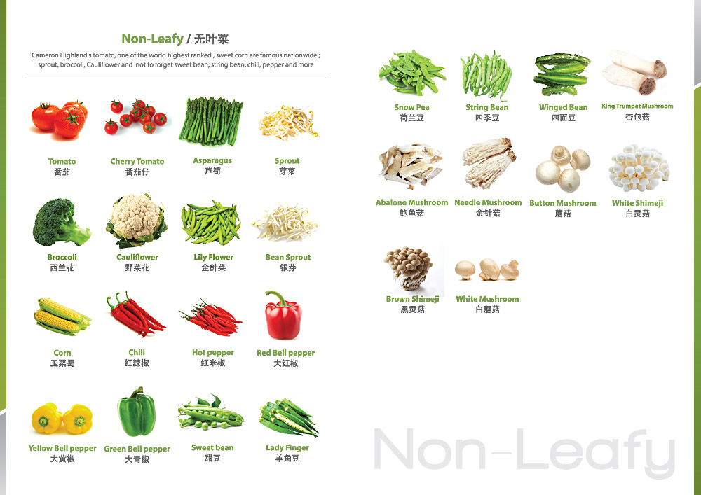 Ever Fresh Cameron catalog design | SurfLoft